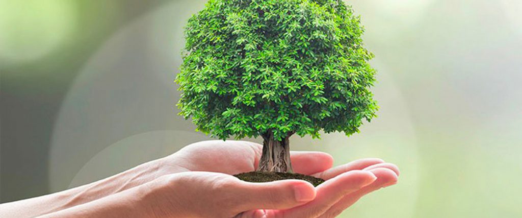 A Positive Environment For Sustainable Businesses - Badr Jafar's Blog